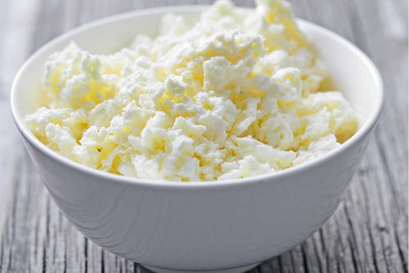 Is It Safe To Freeze Curd Cheese? | Mighty Cooks